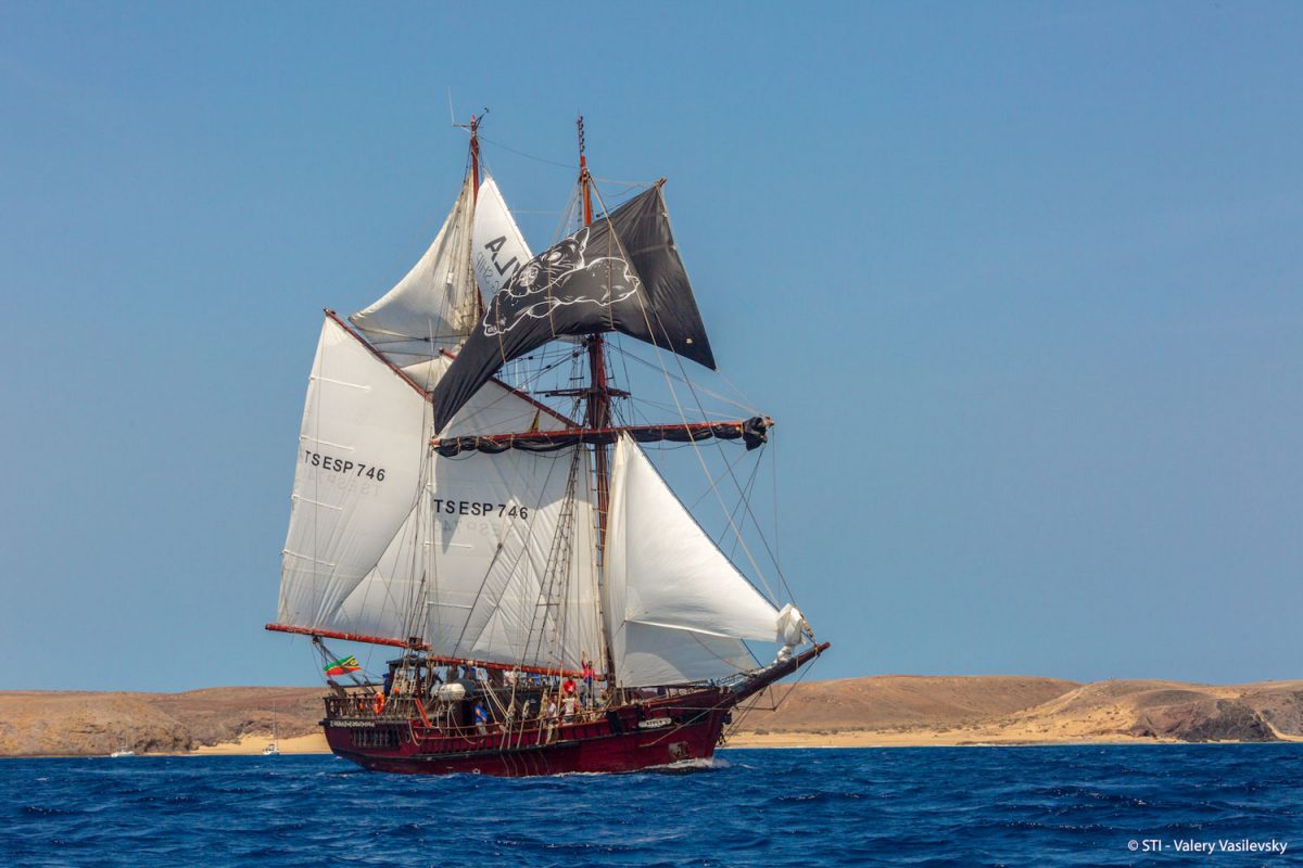 Experience the Tall Ships Parade of Sail Bremerhaven Before Sailing ...