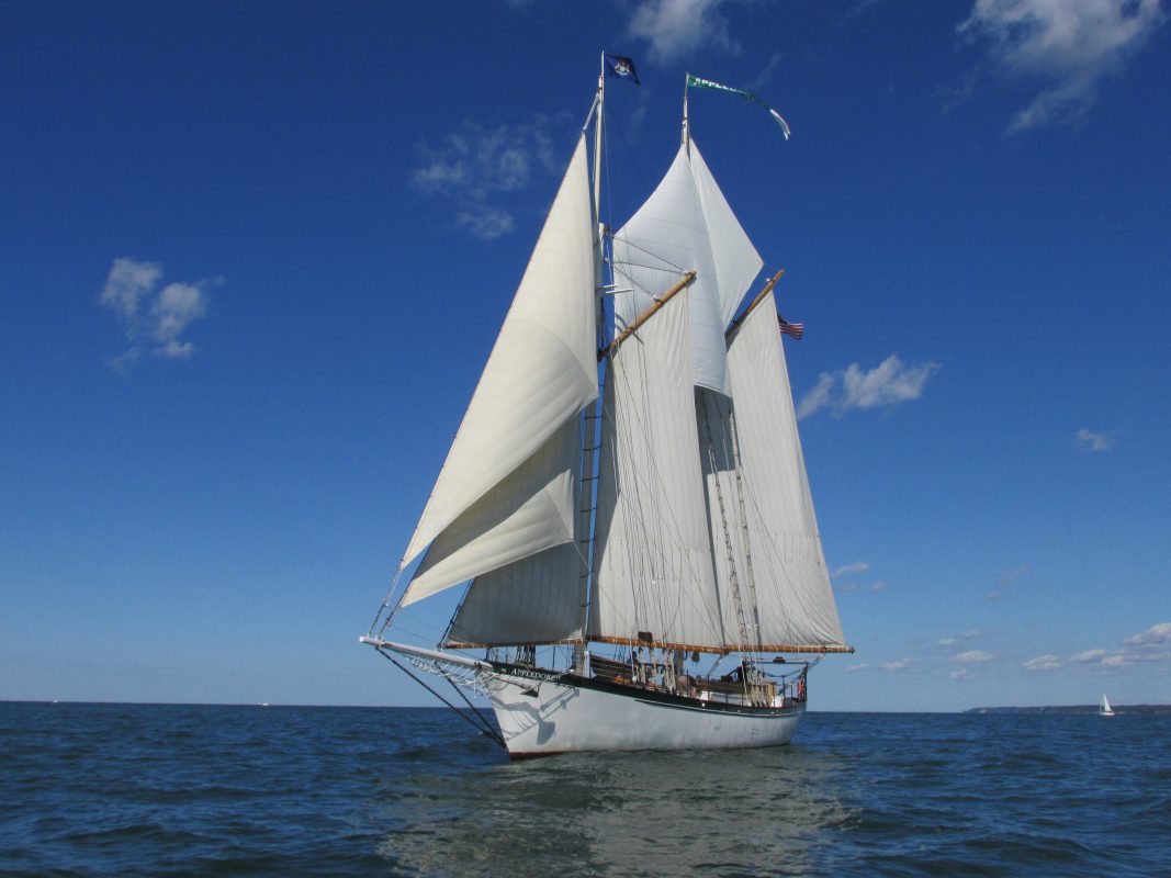 Appledore IV – Vessels on Tall Ships Network