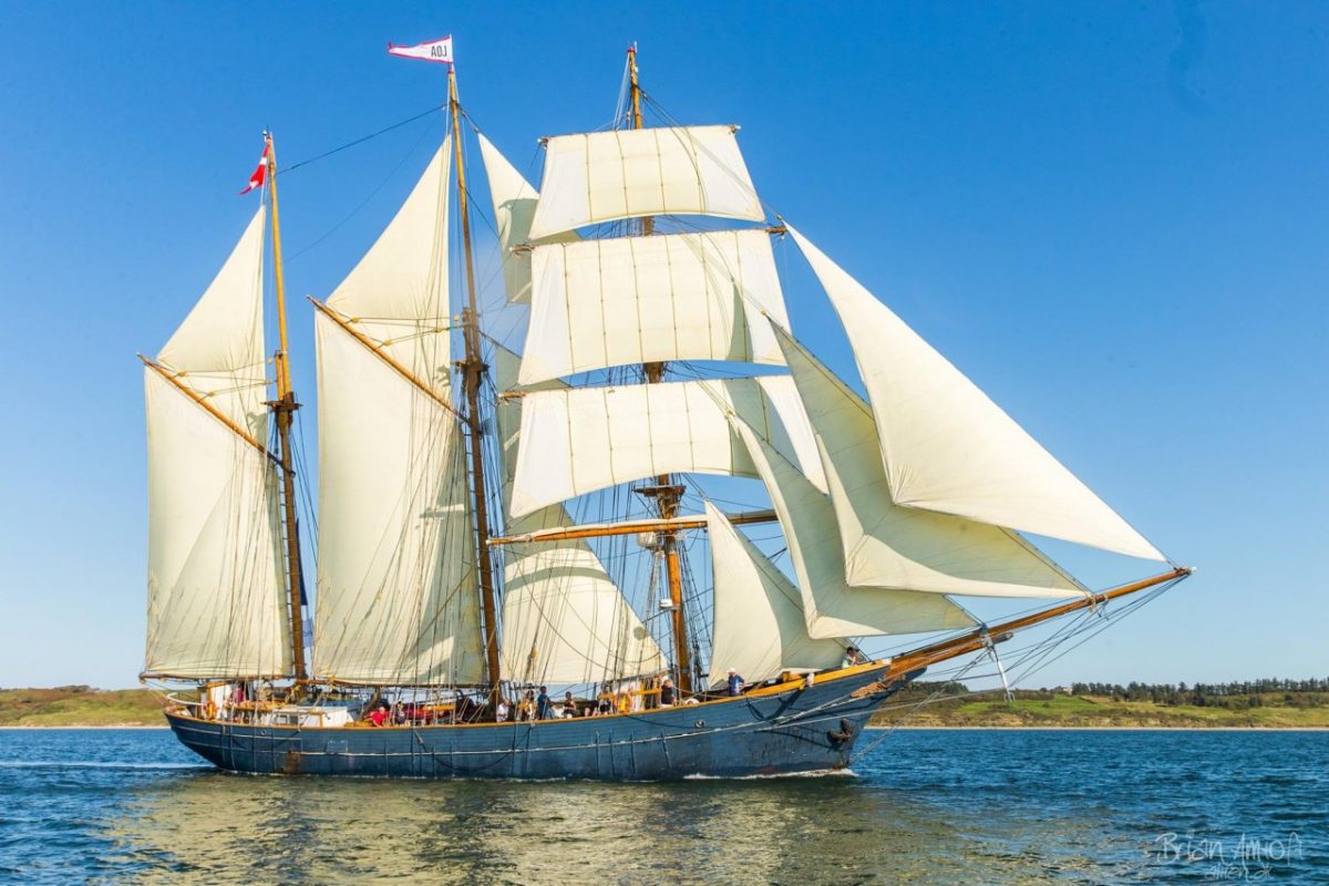 LOA – Vessels on Tall Ships Network