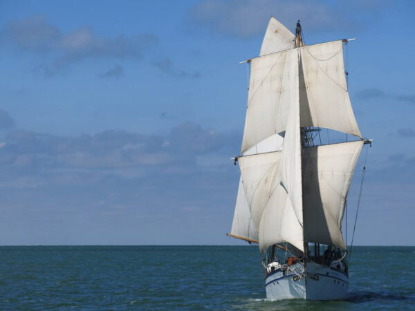 Pathfinder – Vessels on Tall Ships Network